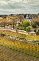 Vignobles Vauthier: the wines of the estate